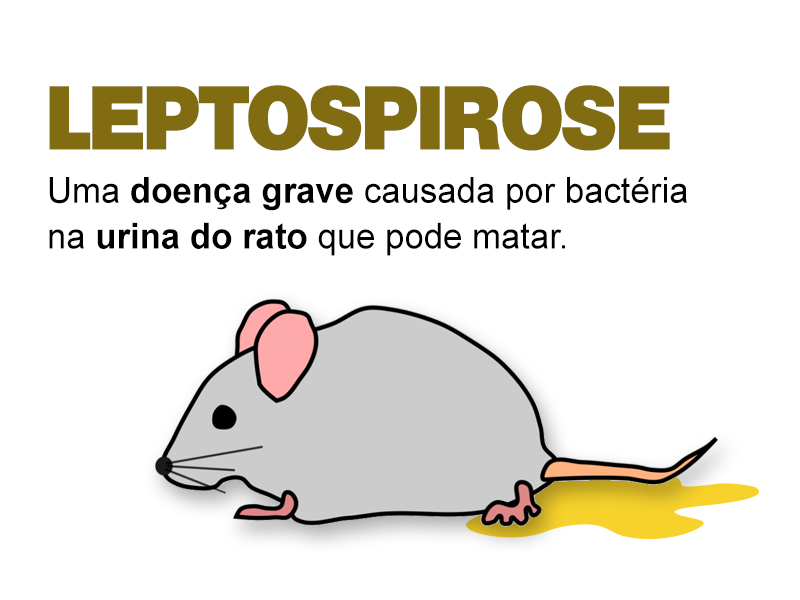 Prefeitura de Bom Retiro do Sul